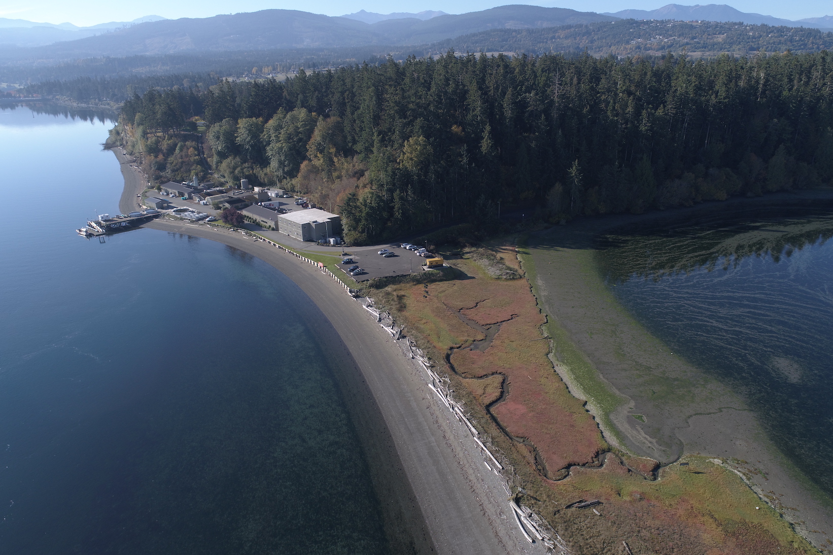 Marine Carbon Dioxide Removal | Ward Ecosystems Research